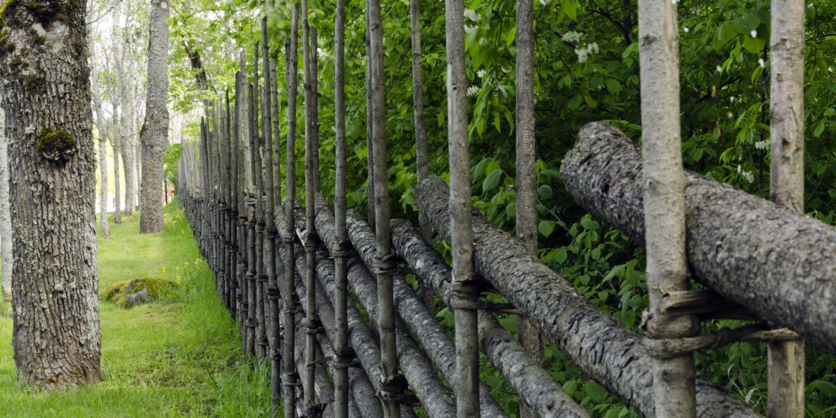 Clôture naturelle avec ou sans plantes : Options, prix et inspiration